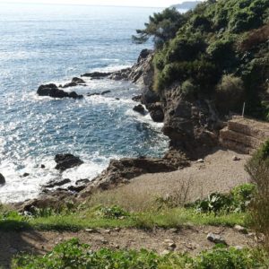 Anse Magaud - Anse Méjan - ND du Cap Falcon - Balade en Provence